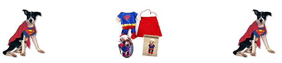 Superhelden-Kostüme für Hunde und Katzen | so wird jeder Tag super ...